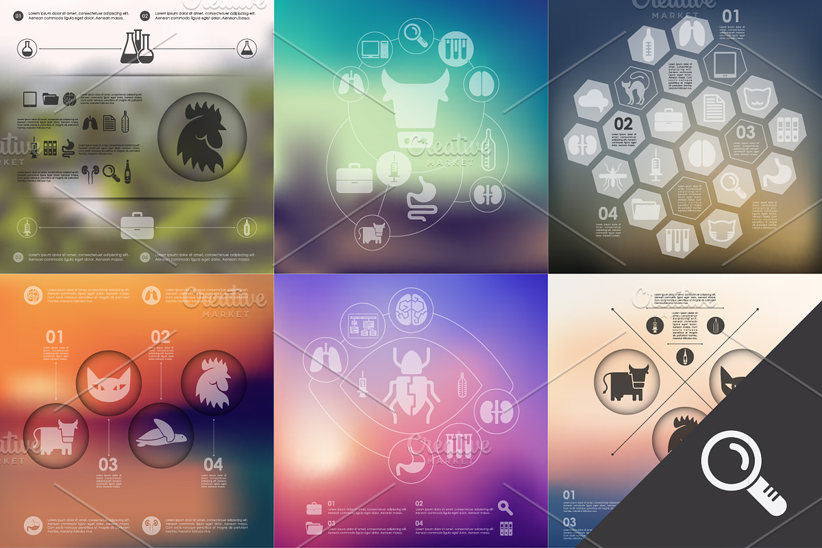 90 VET INFOGRAPHICS. Collection, a Presentation Template by Palau