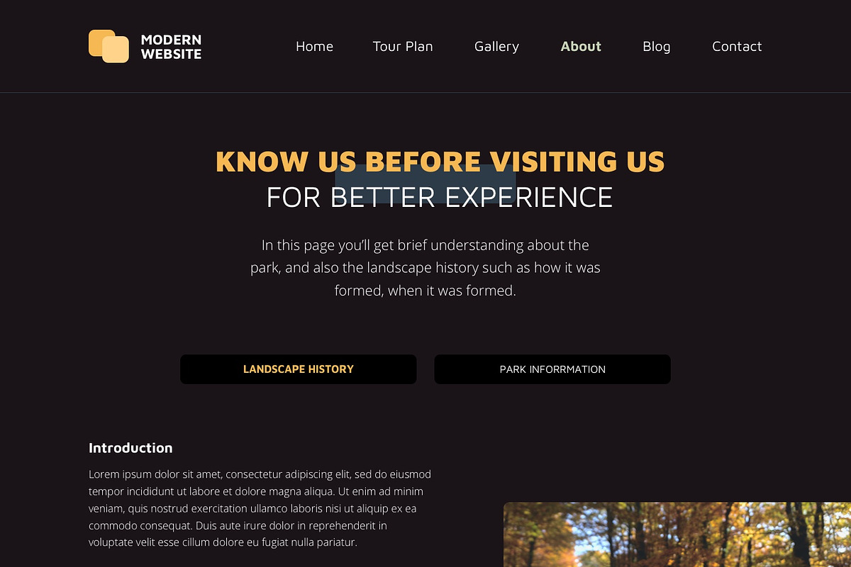 Local Attraction Website Template, an UI Kit Template by abirdesign15 ...