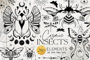 Mystic Insects vector graphic kit, a Decorative Illustration by My Space Garden | Creative Market