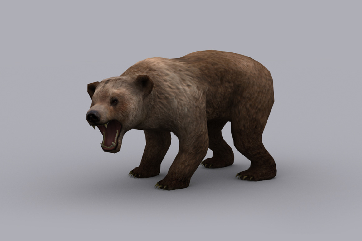 BEAR fbx only, an Animal 3D Model by PROTOFACTOR