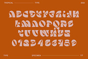 Fender Font, a Sans Serif Font by Tropical Type | fender font download ...