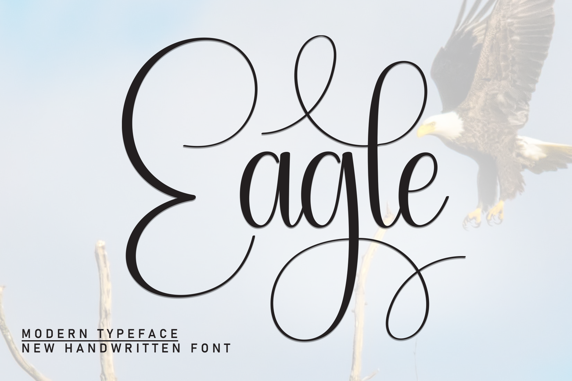 Eagle | Script Font, a Handwritten Font by Scratchones