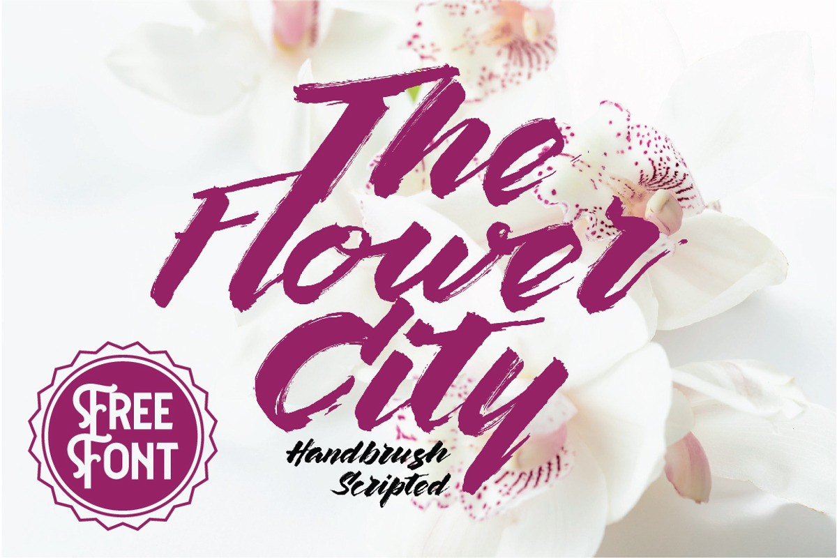 Courageous Typeface, a Sans Serif Font by wubstudio