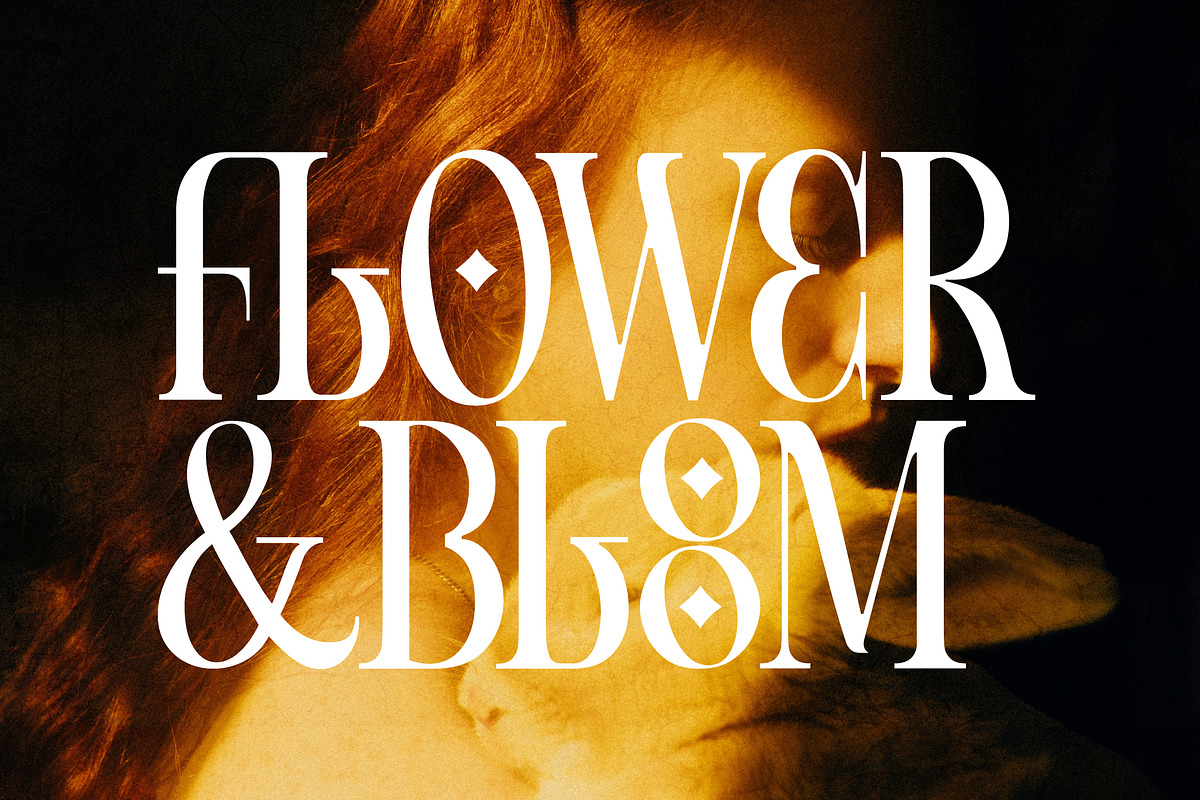 Vienna Fashion Display Serif Font