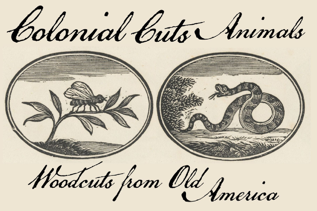 Colonial Cuts ANIMALS 48 images, an Object Graphic by Intellecta Design