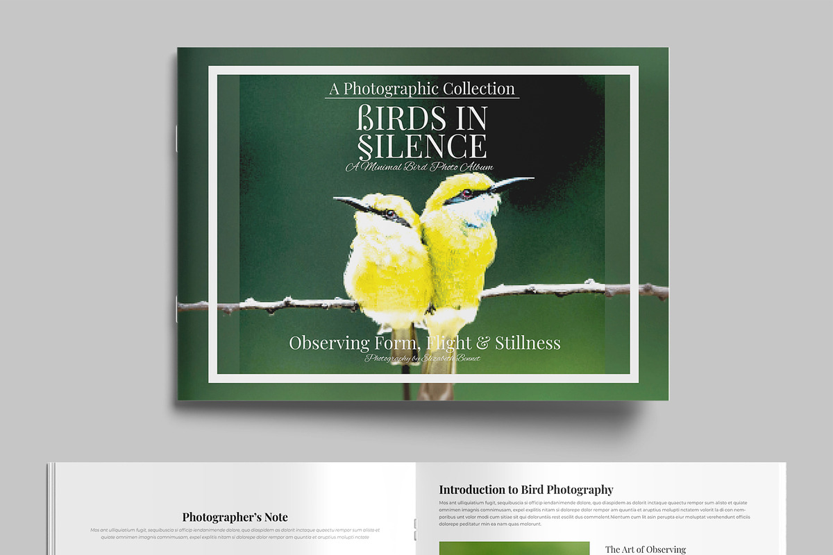 Professional Photo Album Design