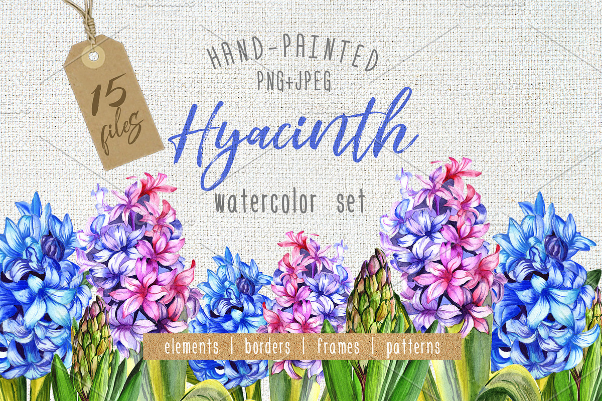 Colorful hyacinth PNG watercolor set, a Seasonal Illustration by ...