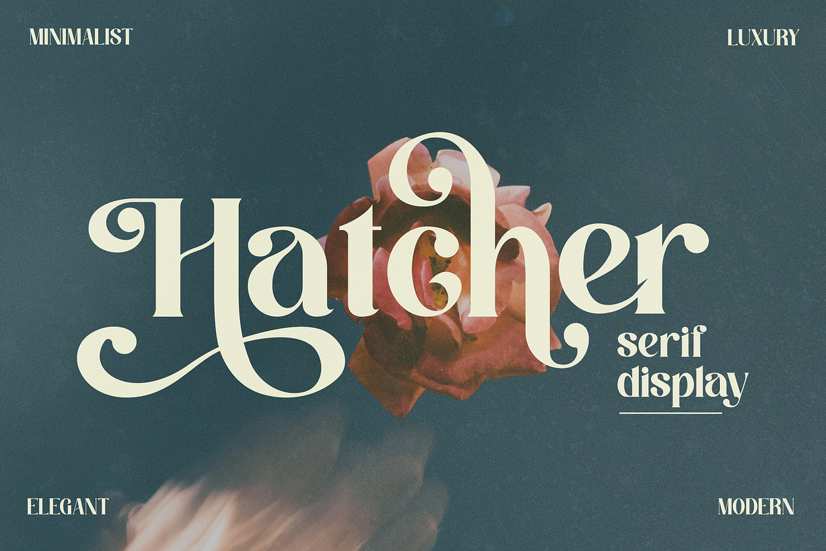 Hatcher Serif Display Font, a Serif Font by Storytype Studio