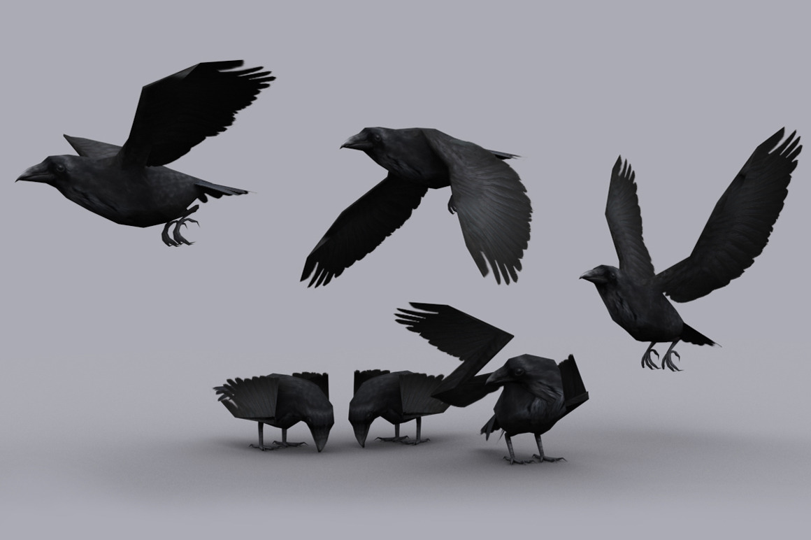 CROW with Native File, an Animal 3D Model by PROTOFACTOR