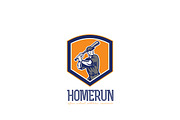 Homerun Athletic Institute Logo, a Branding & Logo Template by patrimonio