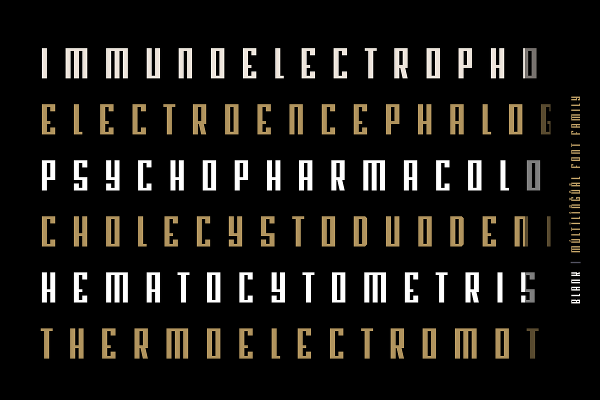 Blank Font Family - 36 Fonts