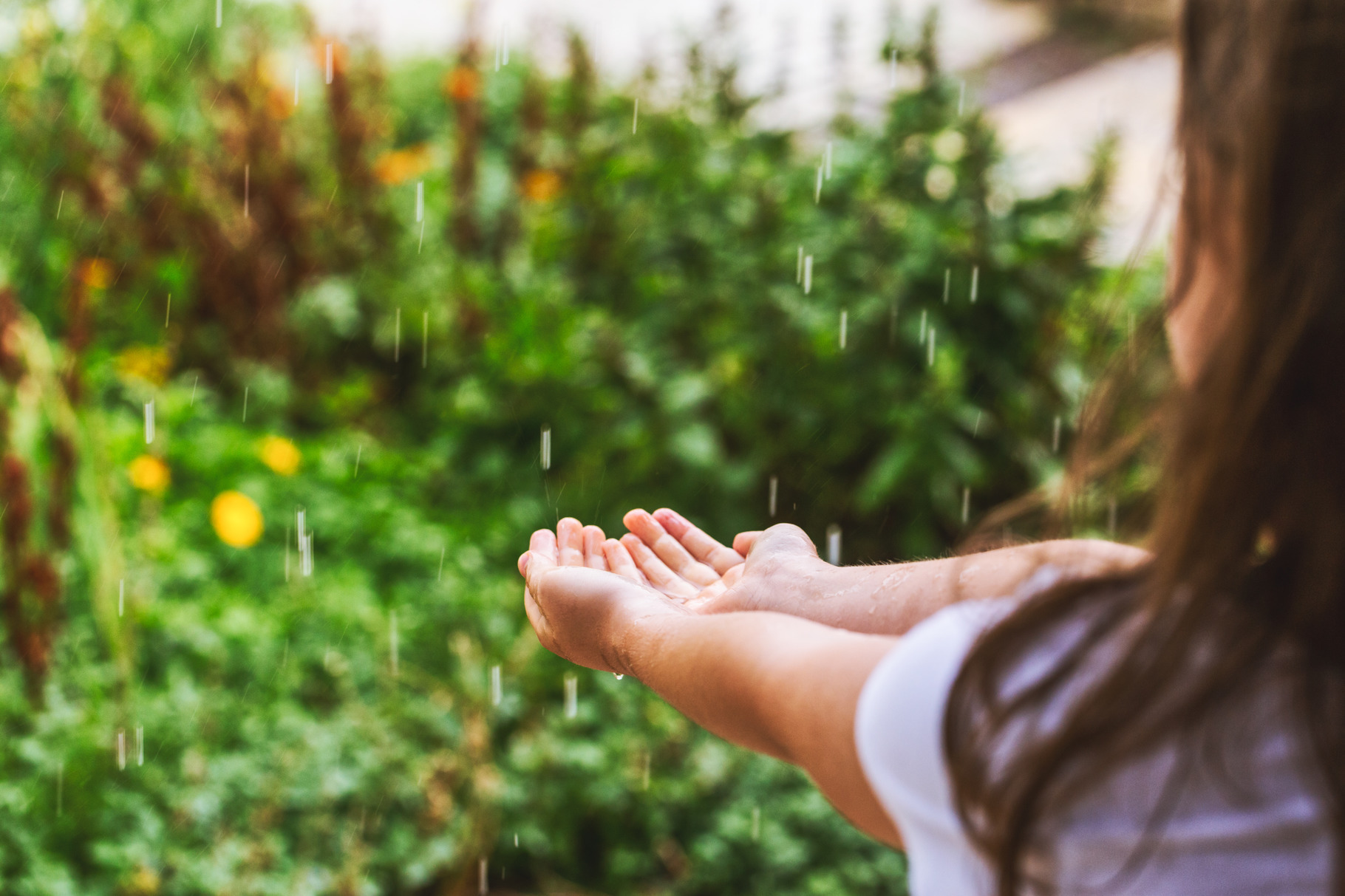 Girl's hands catching raindrops on, a Person Photo by BeOGraphic