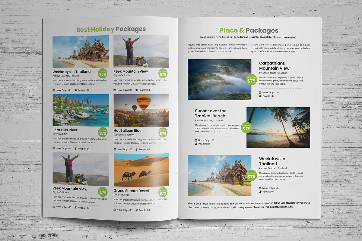 Holiday Travel Brochure Design