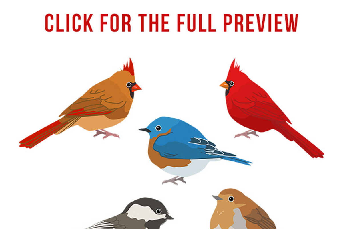 Winter Birds Christmas Clipart, an Animal Illustration by The Digital ...