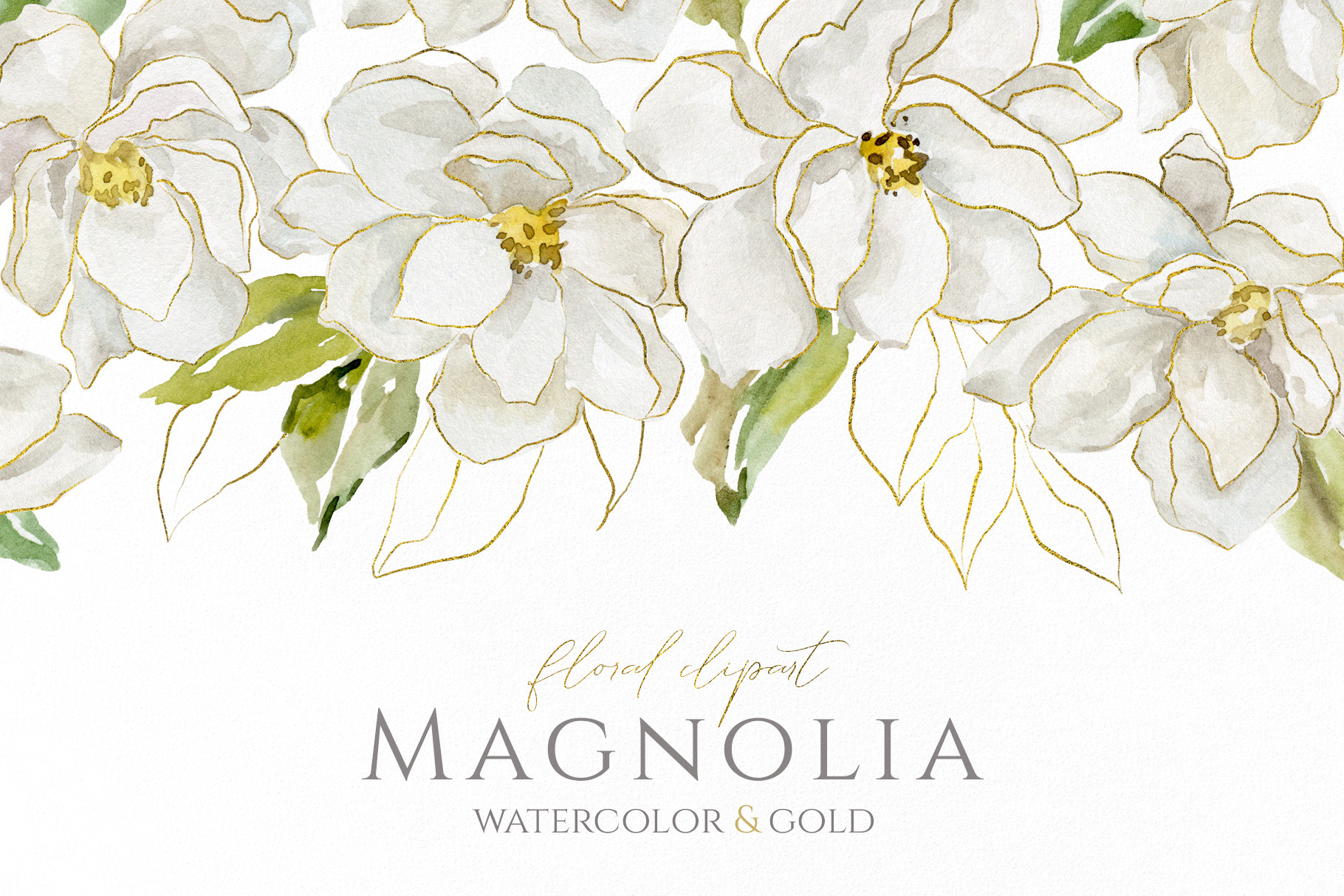 Watercolor & Gold Magnolia Flowers, an Illustration by GraphicsDish