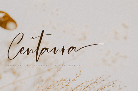 Althea Script, a Script Font by Chocotype Std