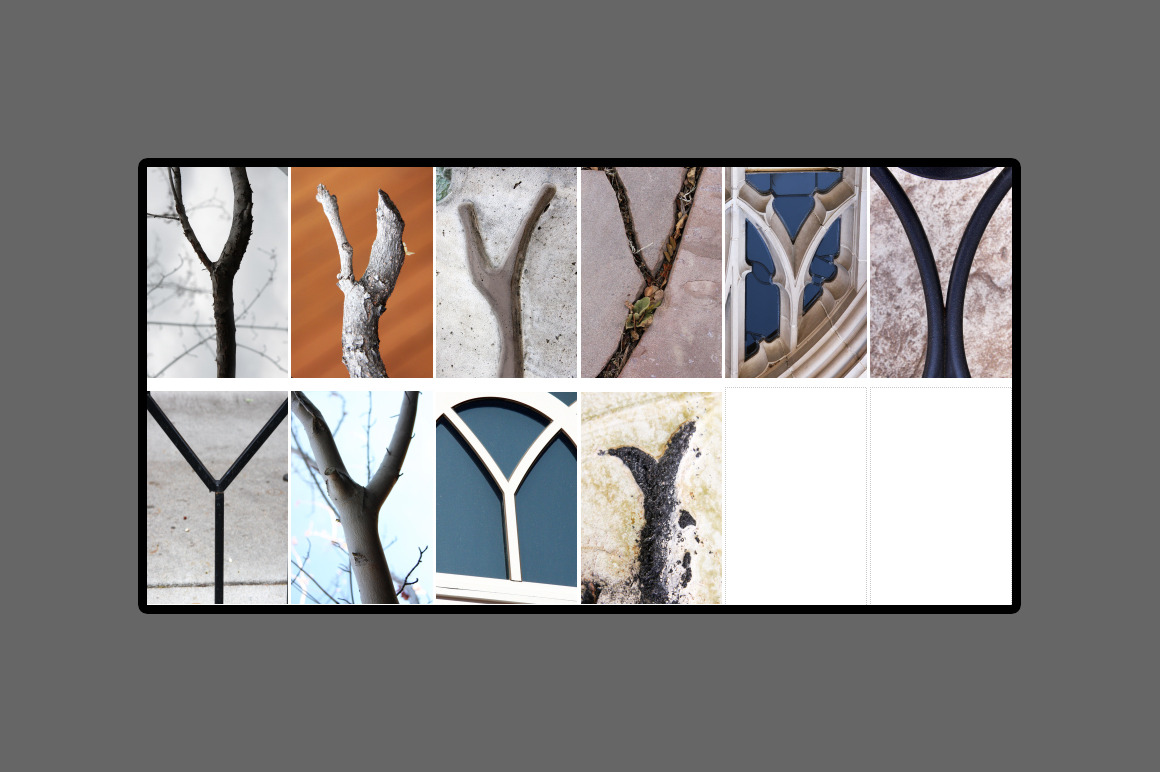 Alphabet Photography Letter Y, a Nature Photo by Artistic Letters