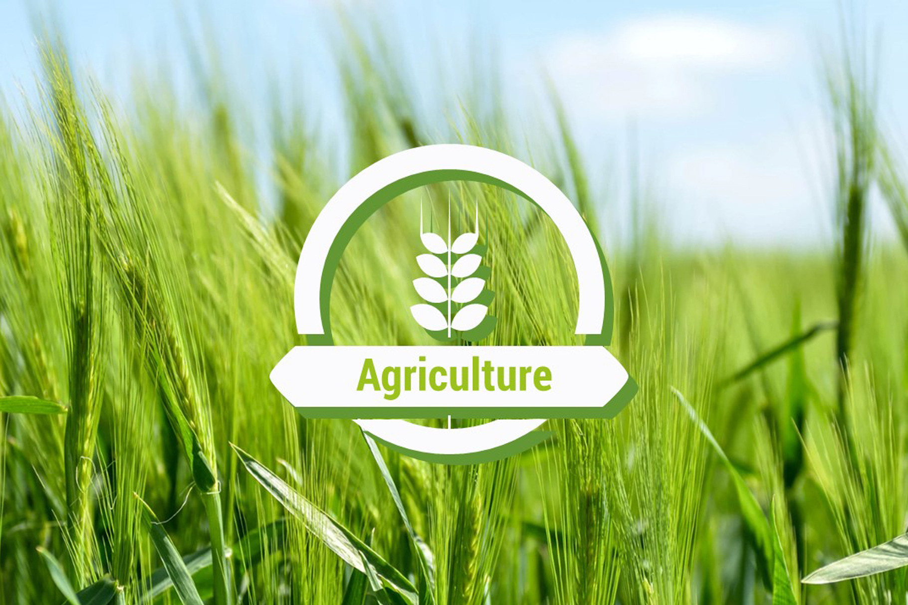 Agriculture Powerpoint Presentation, a Presentation Template by ...