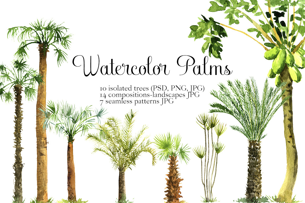 Watercolor Palms, an Illustration by cat_arch_angel