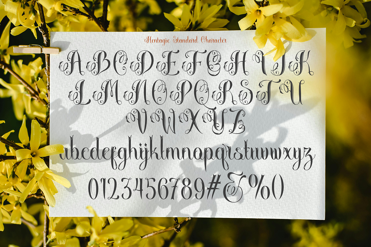 Hentagie Classic Script, a Script Font by madeDeduk