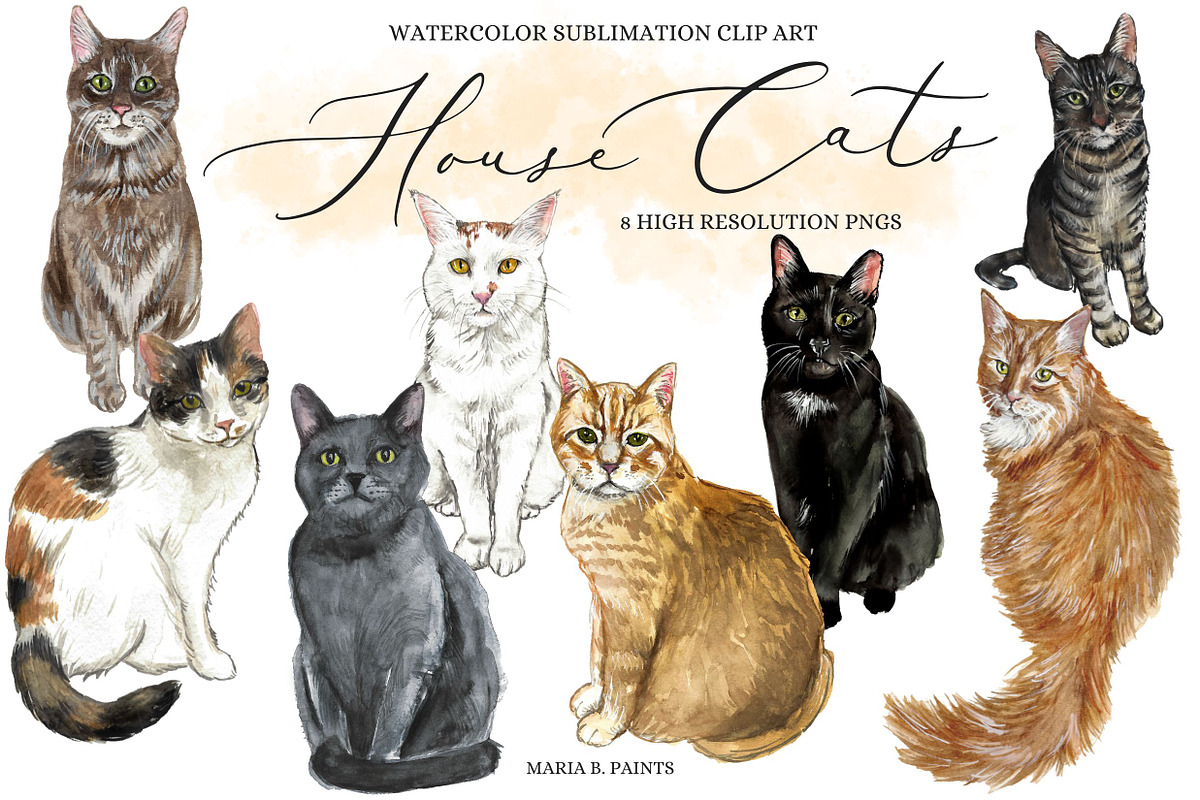 Cat Illustrations Watercolor Clipart, an Animal Illustration by Maria B ...
