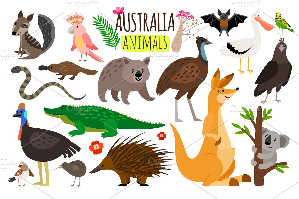 Australian animals. Vector animal icons of Australia, kangaroo and ...