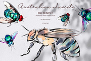 Australian insects. Set 1, an Illustration by luchioly