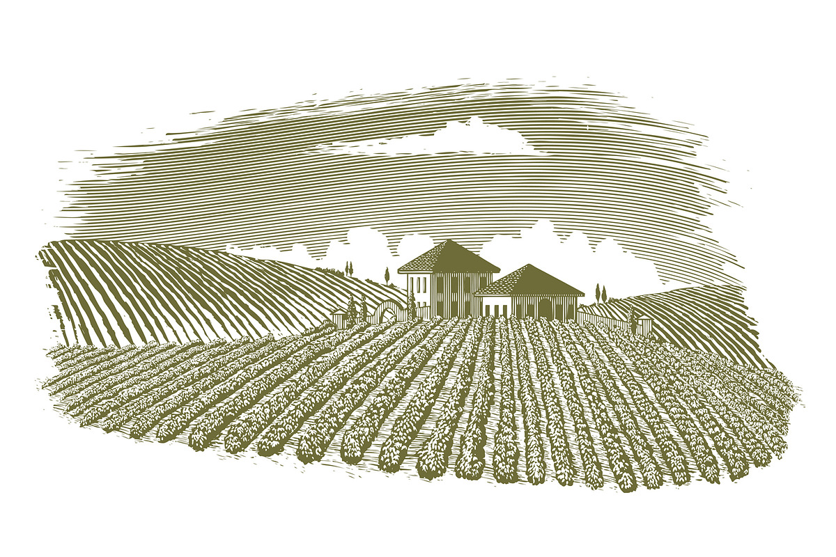 Woodcut Vineyard Landscape, a Graphic by blue67sign