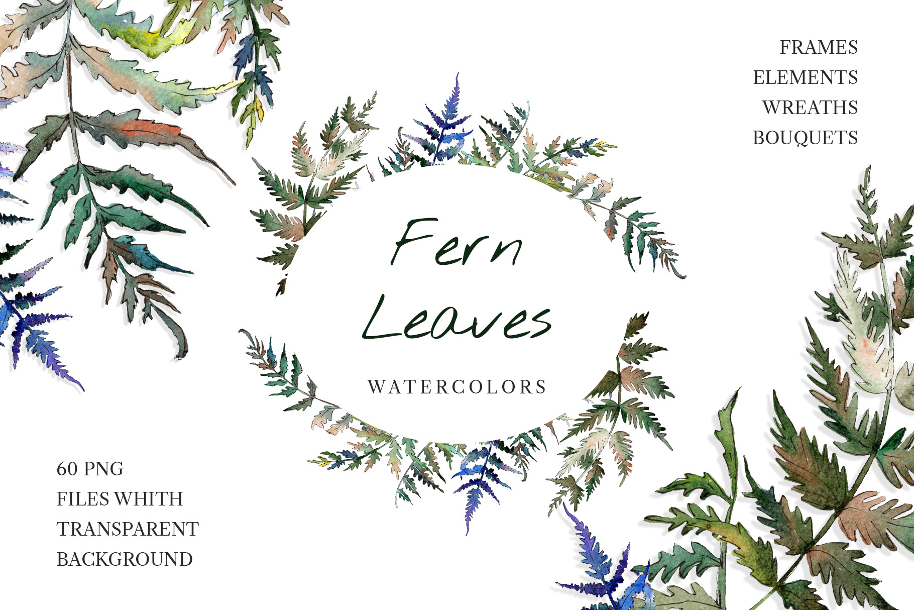 Fern leaf clipart watercolor png, an Illustration by WatercolorPNG.com