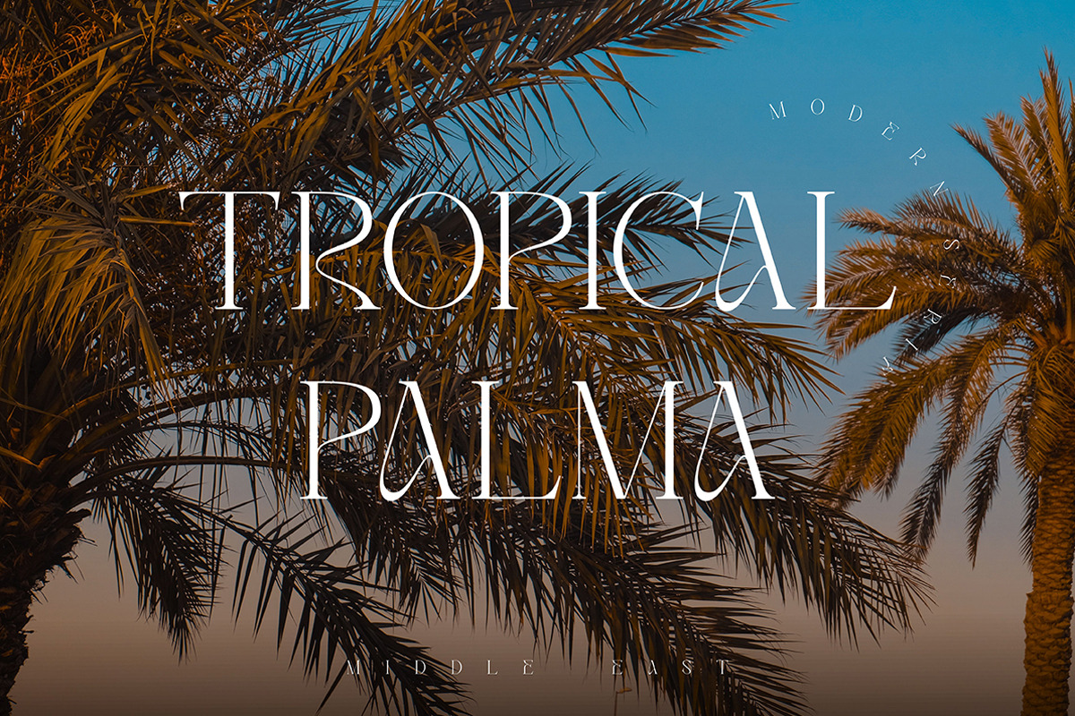 Caterina | Modern Stylish, a Serif Font by Muntab_Art | Creative Market