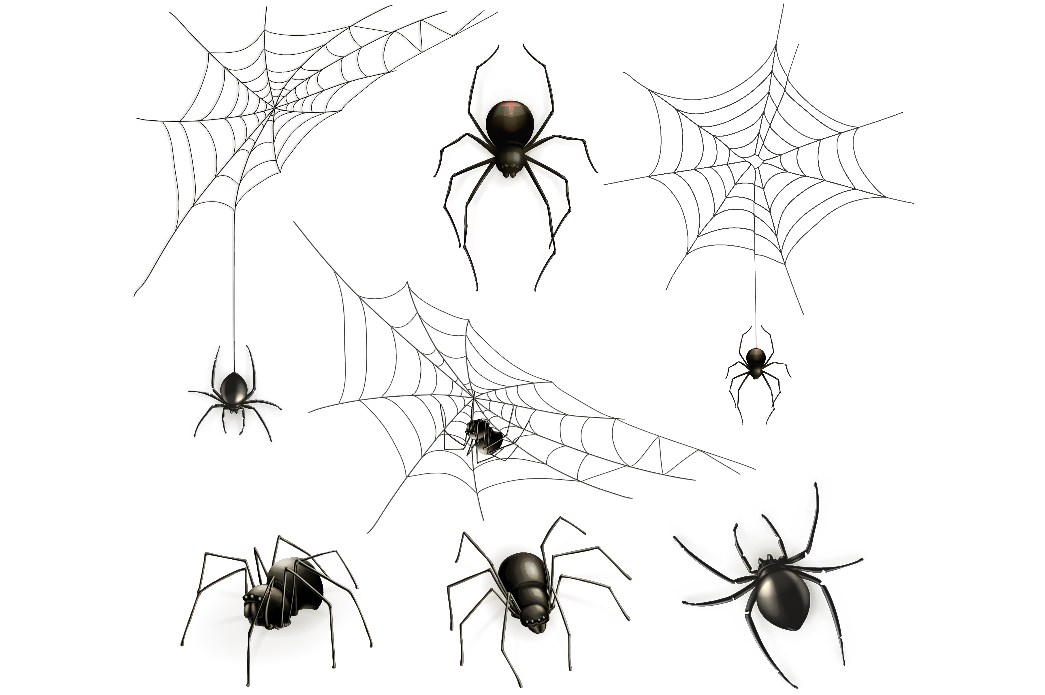 Spiders and spiders web, game icons, an Icon by Allevinatis Studio