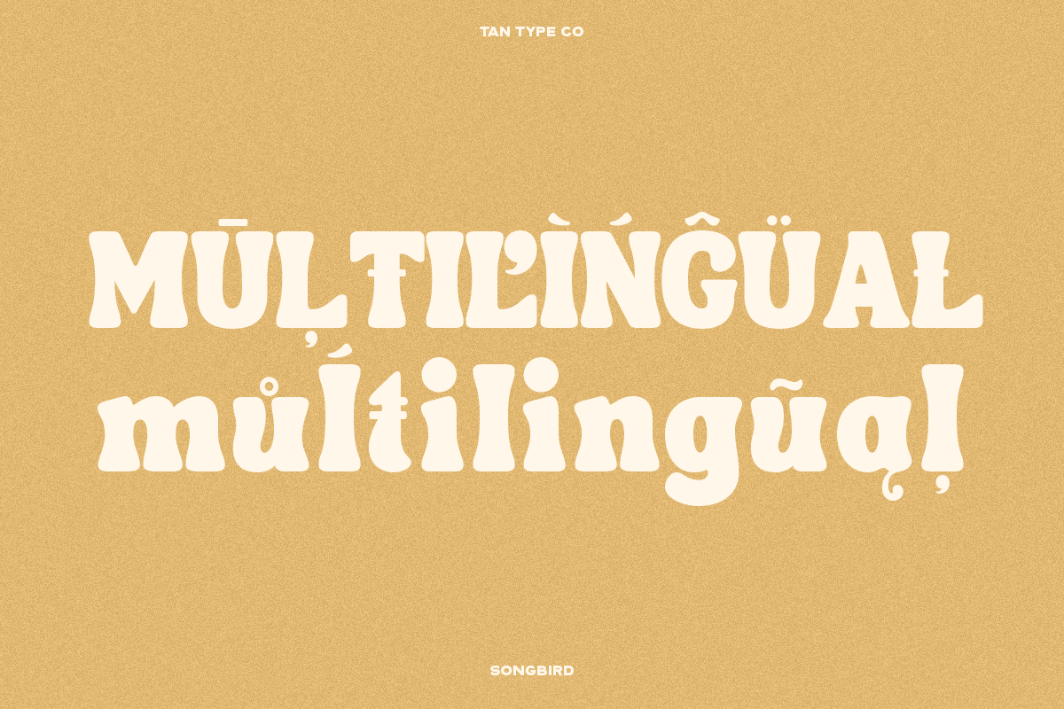 TAN - SONGBIRD, a Font by TanType