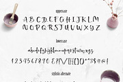 Dry Soul Script, a Script Font by JROH Creative