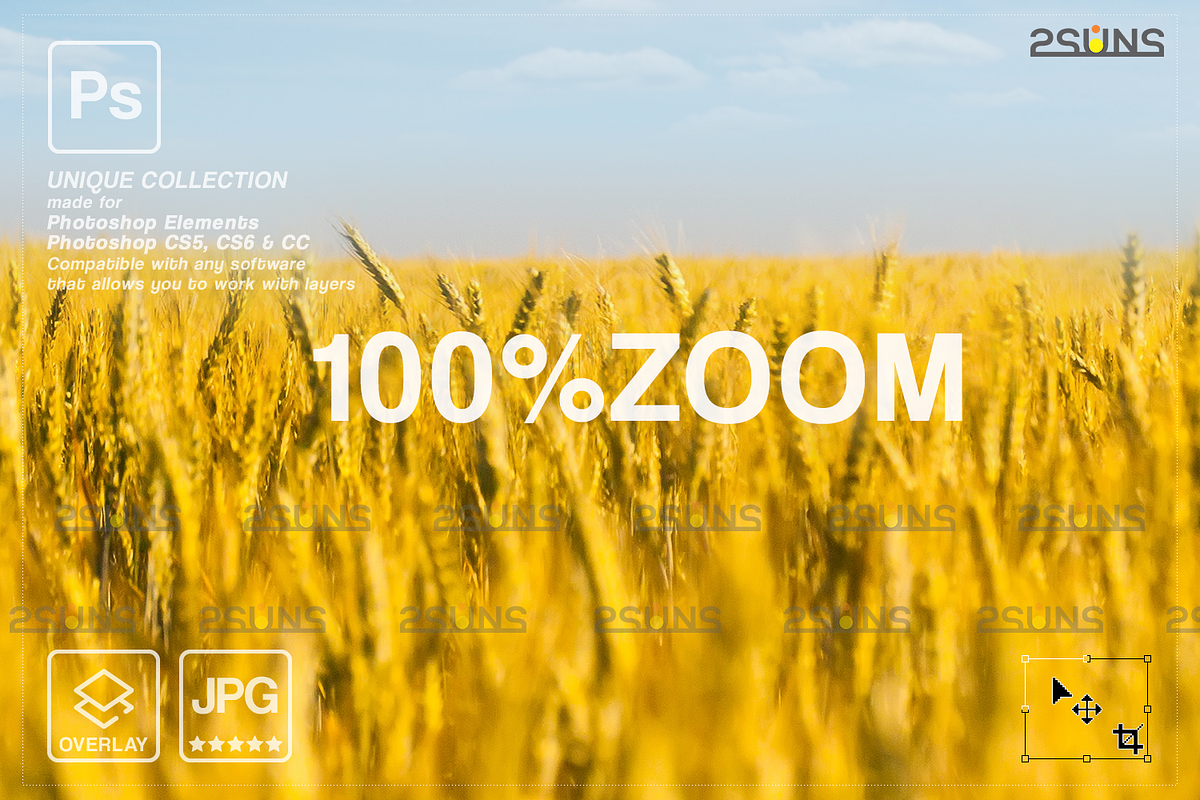 Digital field backdrop Field overlay, an Object Graphic by 2SUNS