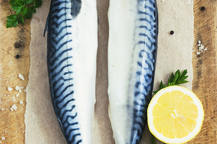 Mackarel featuring mackerel, market, and lemon, a Food & Drink Photo by ...