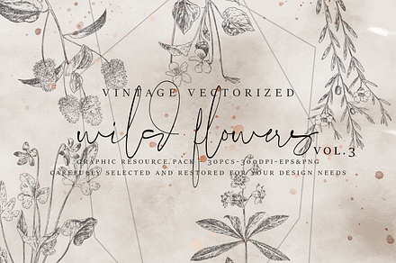 VintageVectorized-Wildflower Clipart, an Illustration by ThirdTryCharm