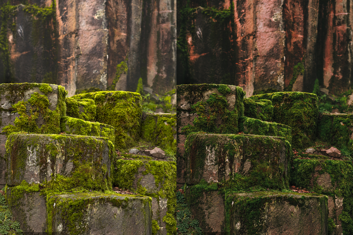 15 Moody Woods Lightroom Presets, a Preset Add-On by RamsaGraphi