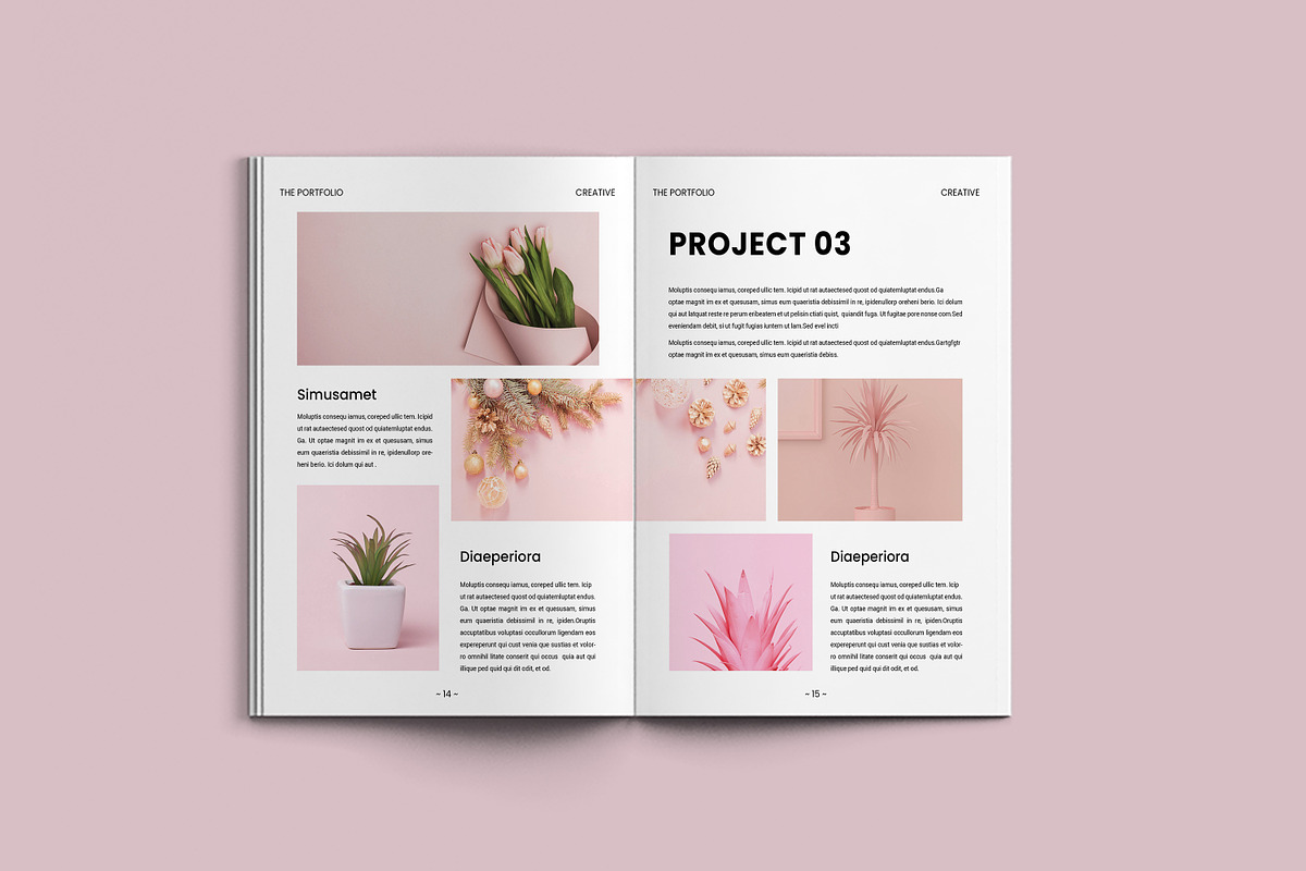 Pink Color Accent Portfolio Template, a Brochure Template by evgenystudio