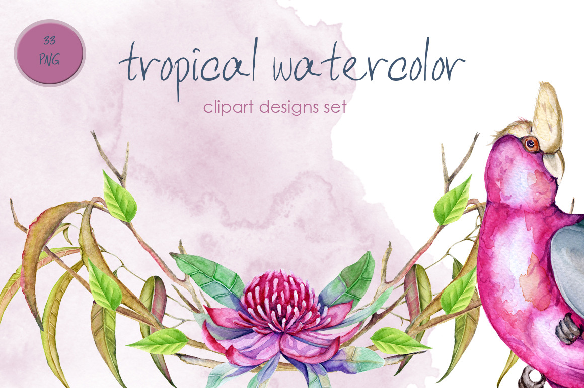 Tropical watercolor, an Illustration by luchioly