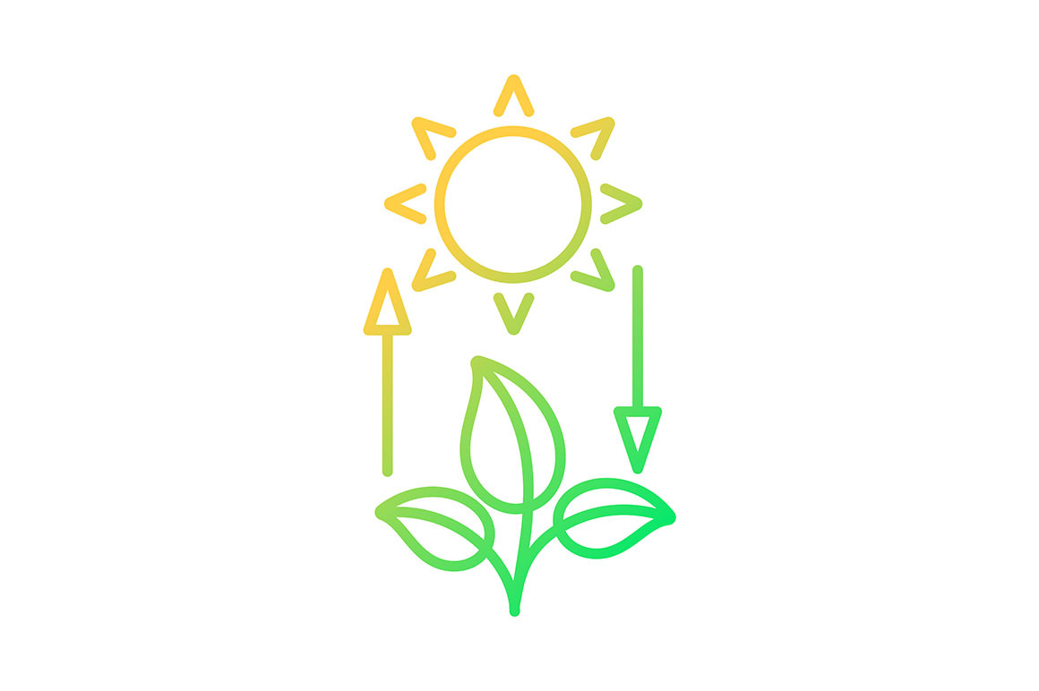 Photosynthesis gradient linear icon, an Outline Icon by bsd studio