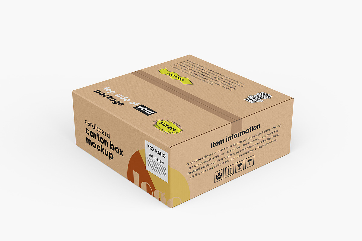 Cartoon Box Mockup