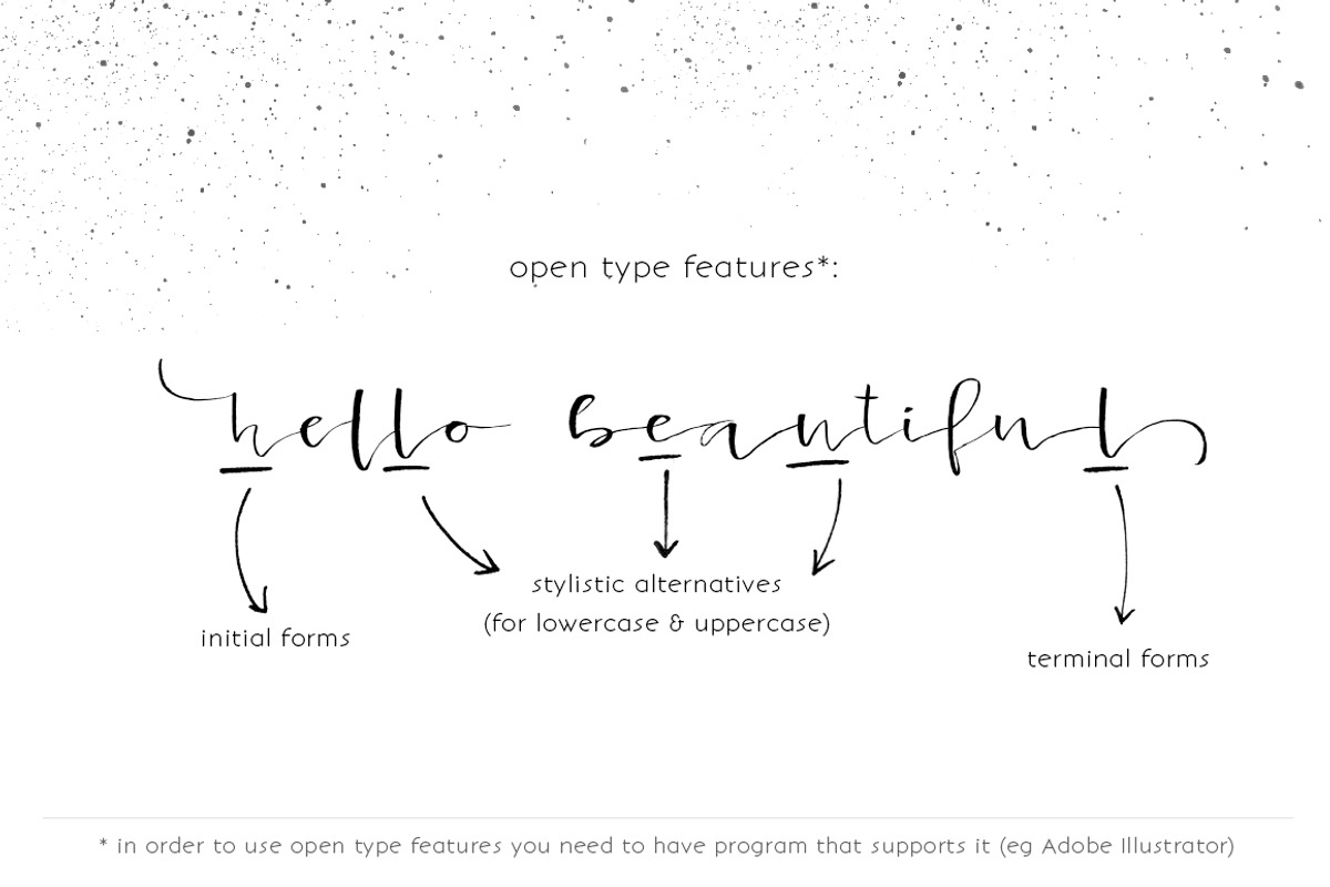 Lancaster - calligraphic font, a Script Font by Favete Art