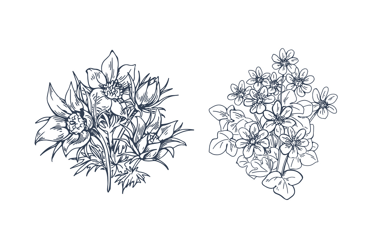Vintage hand drawn flowers set, a Decorative Illustration by Good Studio