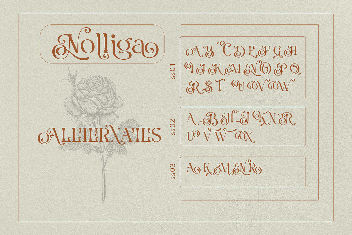 Nolliga, a Sans Serif Font by alit design