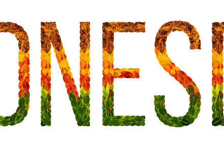 word Day written with leaves white isolated background, banner for ...