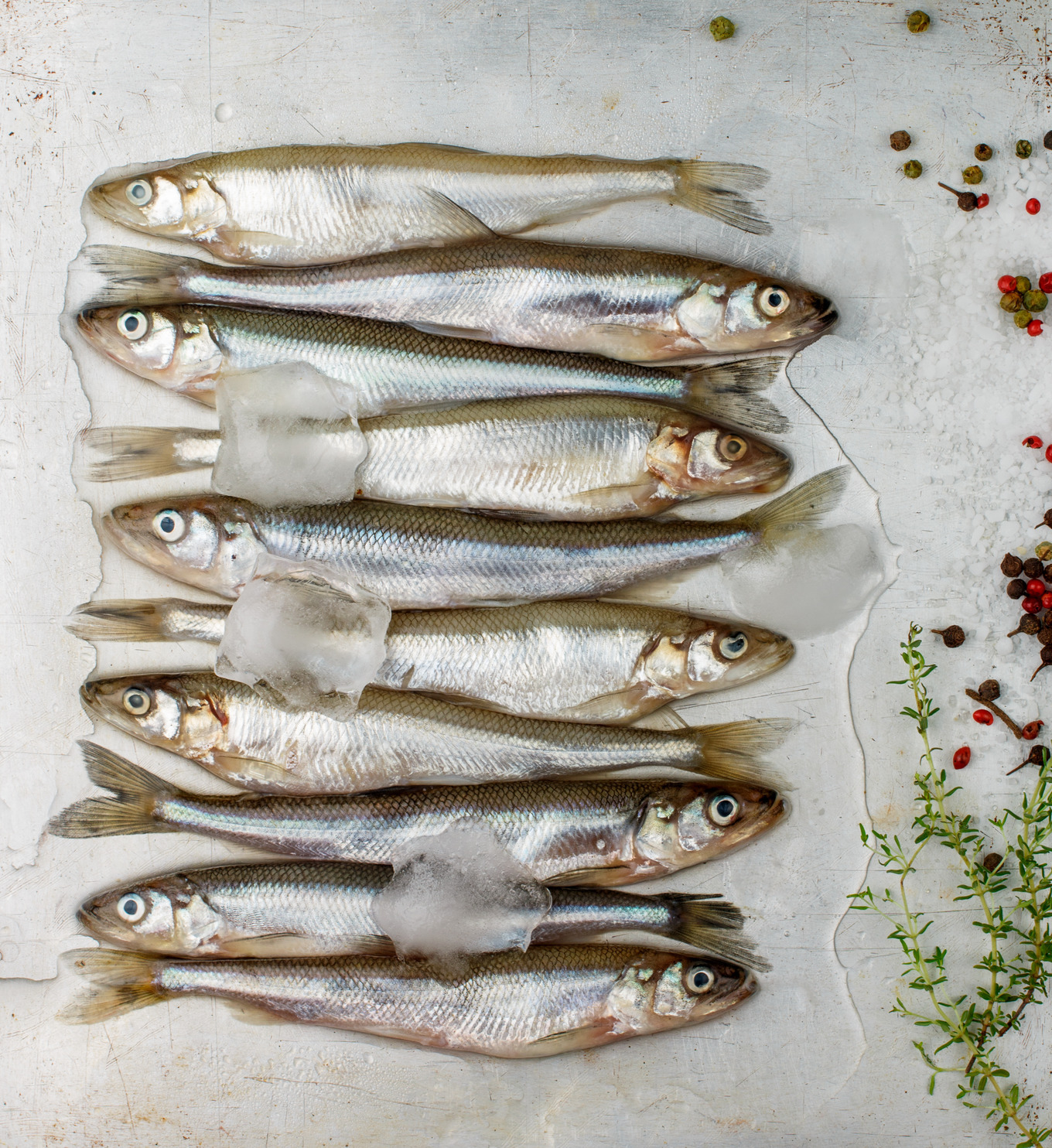 Fresh smelt featuring animal, background, and catch, a Food & Drink ...