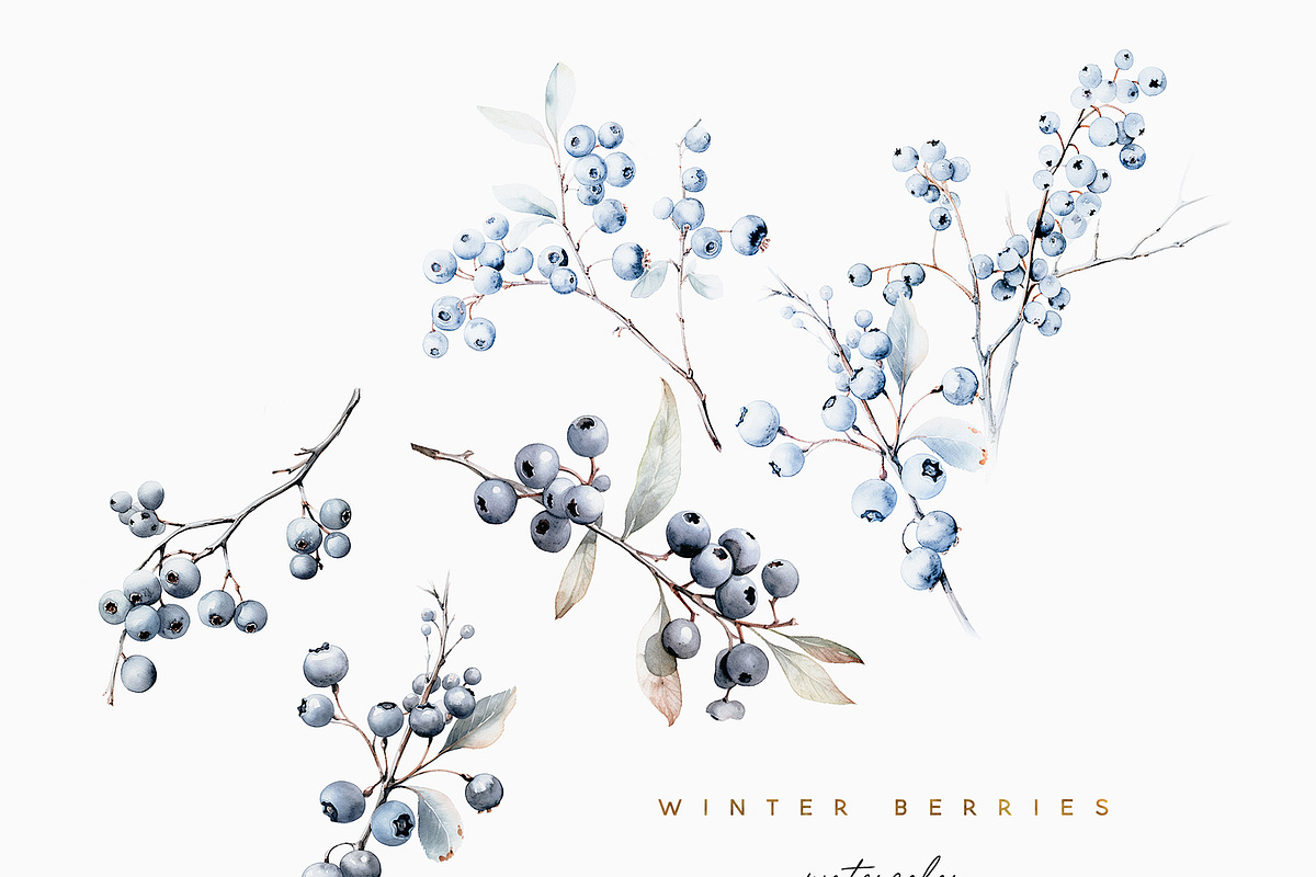 Winter Collection Graphic Set