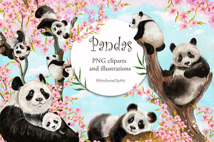 Cute Panda Bamboo Clipart Set PNG | Creative Market