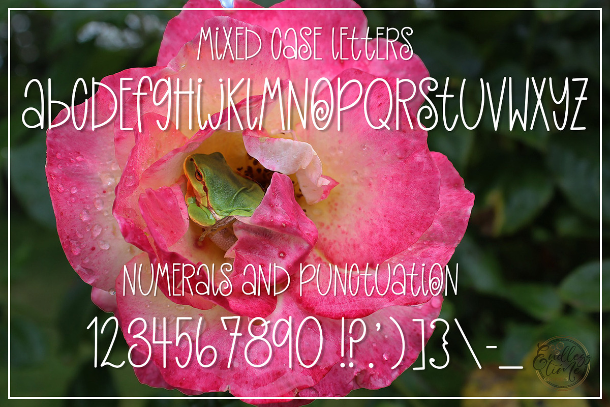 The Shady Frog | Endless Time Graphics