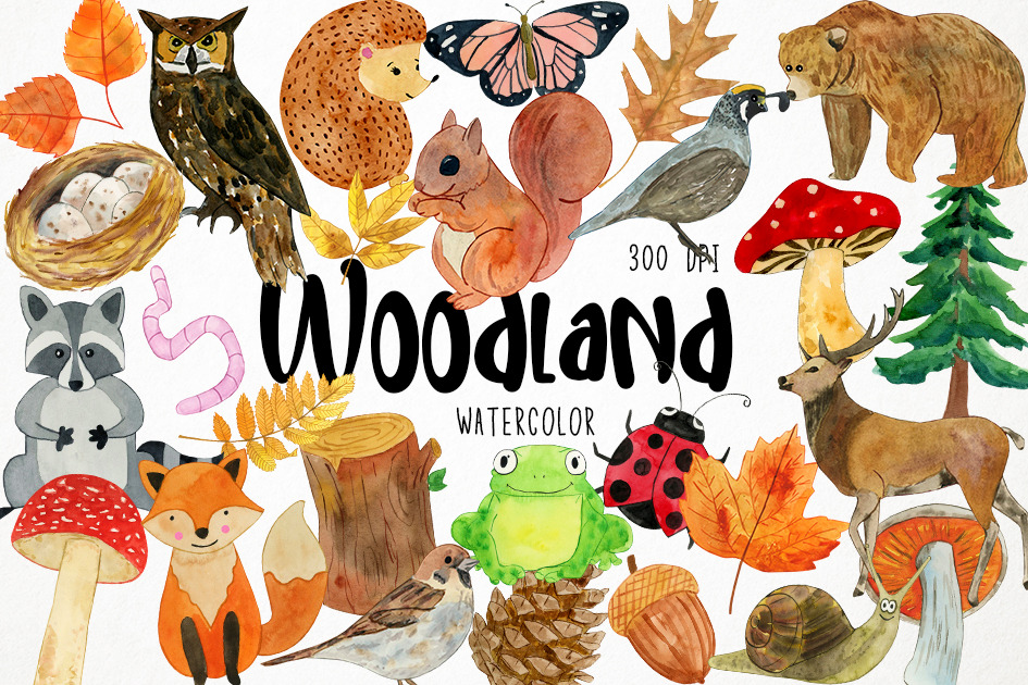 Watercolor Woodland Clipart, Forest, an Animal Illustration by Paulaparaula